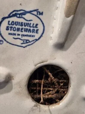 Louisville Stoneware | Accents | Louisville Stoneware Pagoda Ceramic ...